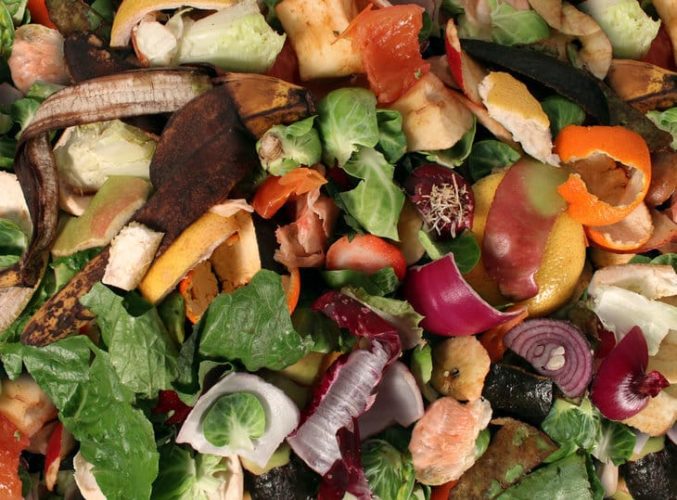 CS4. Divert food waste from landfills | Roadmap to Municipal Sustainability